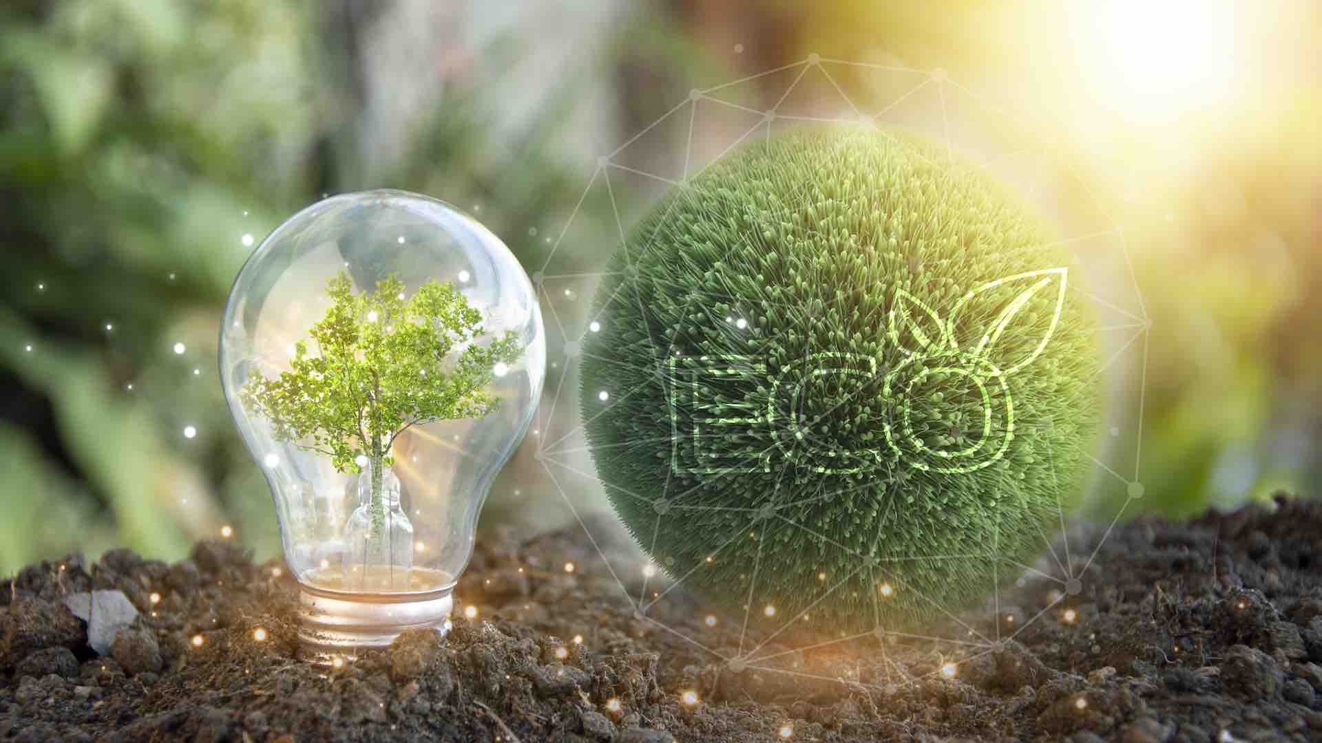 WEF launches digital platform to boost clean energy investments ...